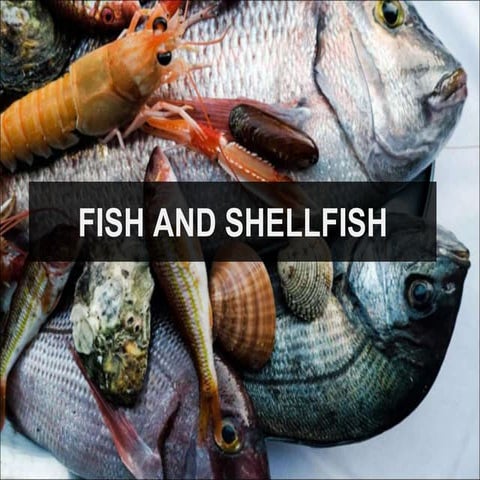 PPTT2( Fish,classification, cuts of fish ).ppt