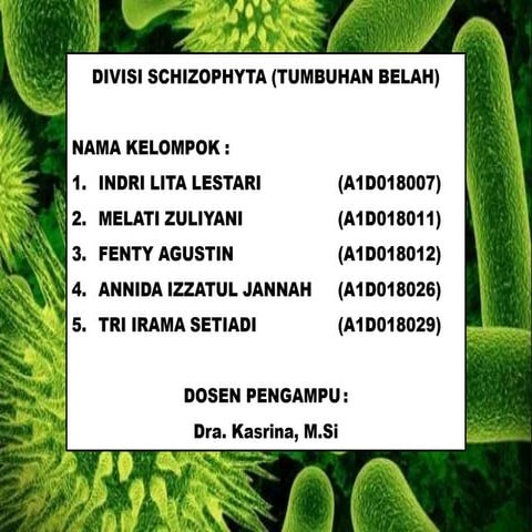 Taksonomi Tumbuhan I DIVISI SCHIZOPHYTA ( Monera) | PPTX