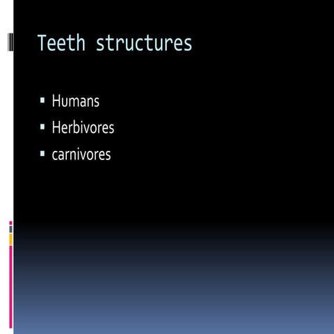 Ppt teeth structure | PPTX