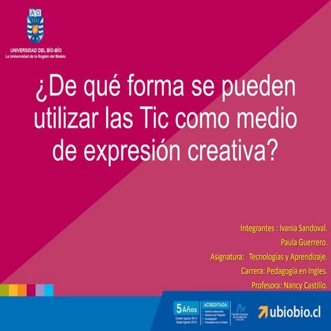 Ppt tic pag web | PPTX | Technology & Computing