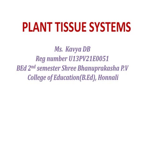 Xylem And Phloem Lesson 2 Ppt