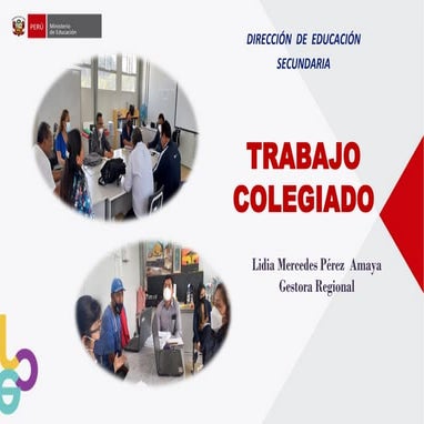 PPT Trabajo Colegiado .pdf