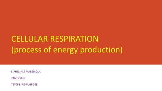 Cellular Respiration with Yeast Demo.pdf | Chemistry | Science