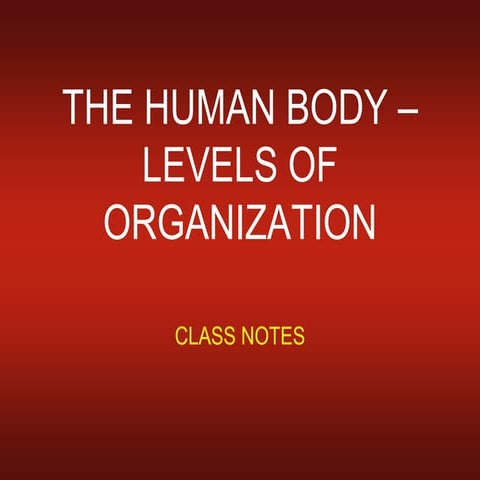 PPT Cells, Tissues, Organs, and System in Living Organism | PDF