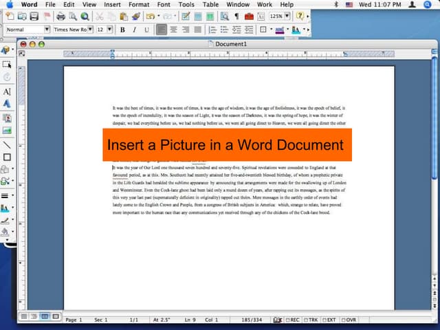 Ms Word (Insert Option) | PPTX