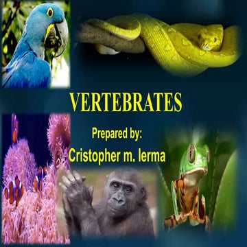 PPT Vertebrates Demo Teaching.pptx