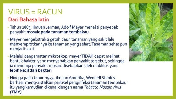 Sejarah virus | PPT