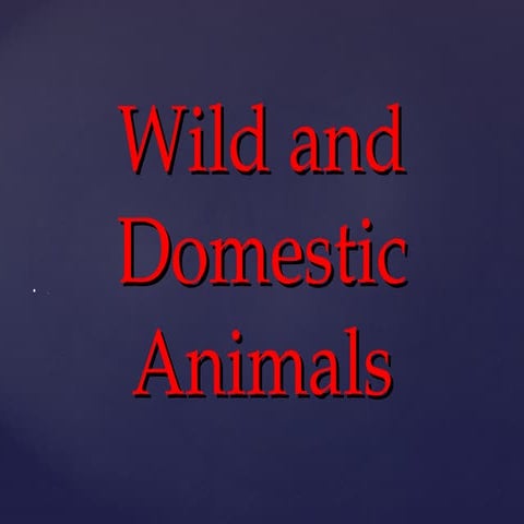 wild and domestic animals | PPT