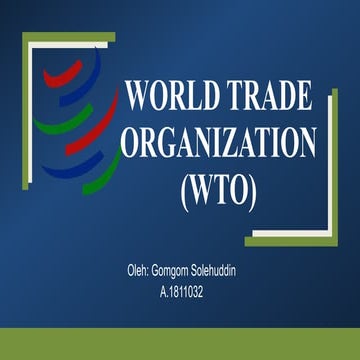 PPT_WTO.pptx