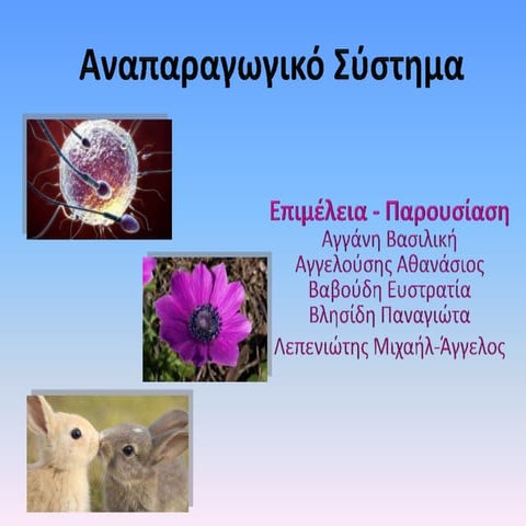 αναπαραγωγικό σύστημα (εργασία μαθητών Α2) | PDF