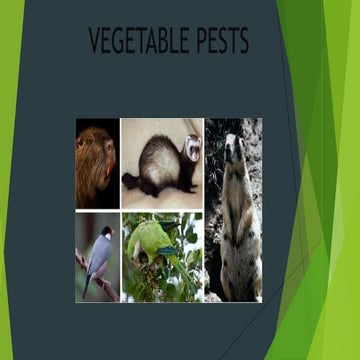 pptx_20230706_154716_0000.pptx