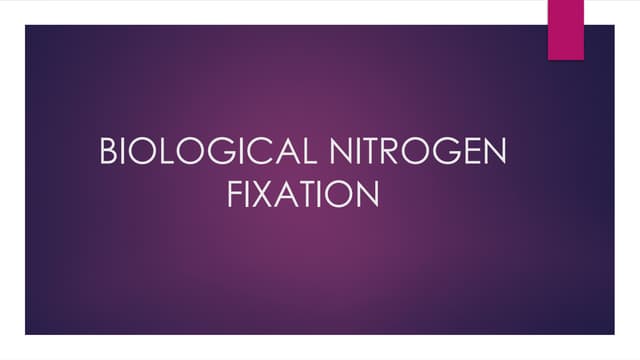 Biological nitrogen fixation | PDF