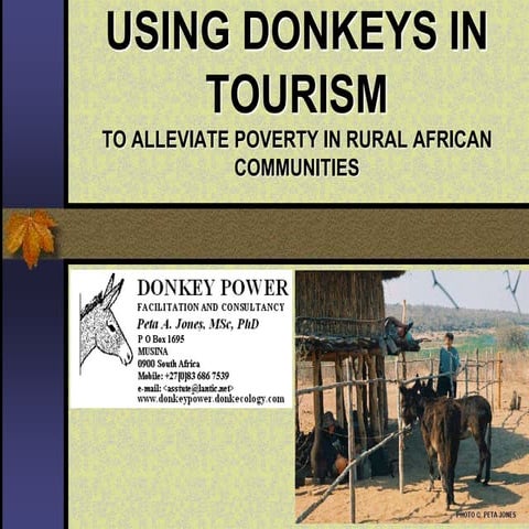 Pp using donkeys in tourism | PPTX | Africa Travel | Travel Locations