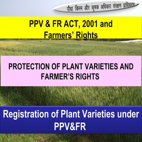 Ppvr & farmers right | PPT