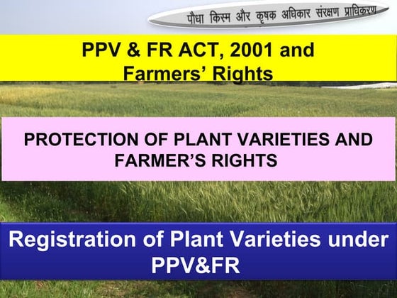 Plant Breeders' Rights | PPT
