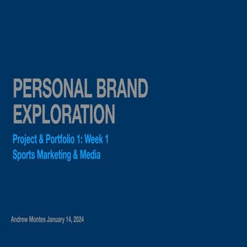 Xfinity Marketing Strategy | PDF
