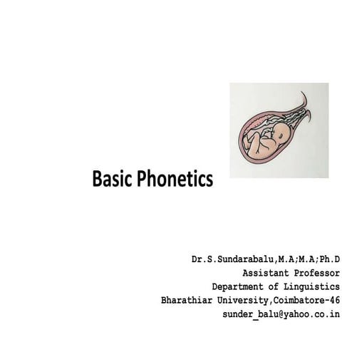 Basic phonetics | PPTX