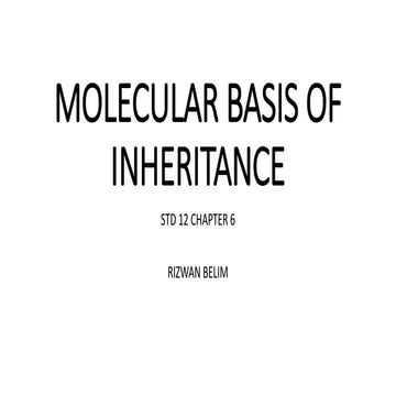 Std_12_Ch_6.pdf of chapter 6 that is molecular basis of inheritance | PPT