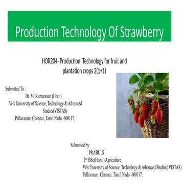Production Technology Of Strawberry .... | PPTX