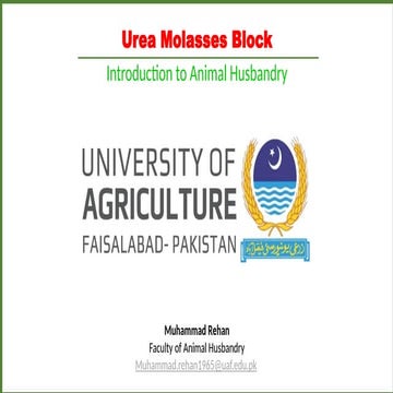 Prac-12_Urea Molasses Block.pptxyhhhjjjjhg | PPT