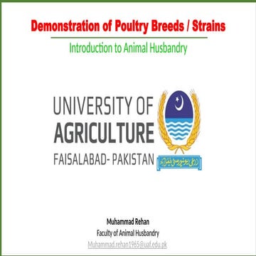 Prac-7_Demonstration of Poultry Breeds_Strains.pptx