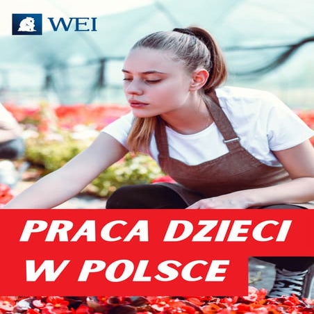 Praca dzieci w Polsce. Raport WEI, badanie.pdf