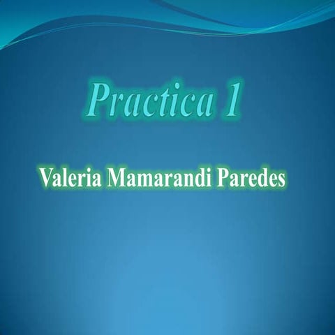 Practica 1 | PPT