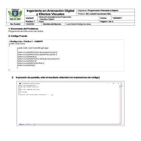 Practica 1 poo formula general | PDF
