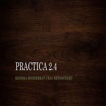 Practica 2.4 | PPTX