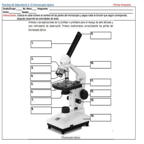el microscopio optico.docx