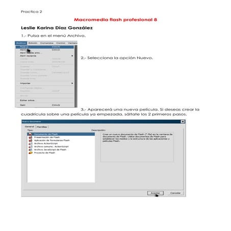 Ejercicio paso a paso flash | DOCX