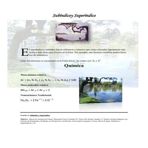 Practica 4 subindice y superindice | DOCX