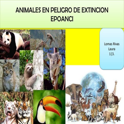 Practica 5: animales en peligro de extincion | PPTX