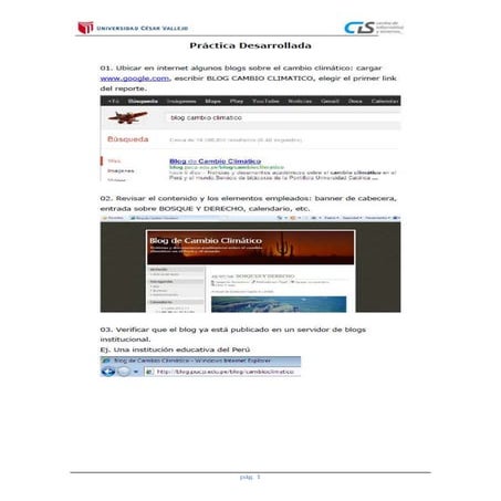 Practica blog | DOCX