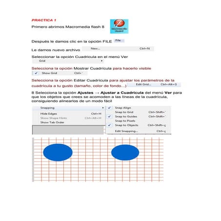 Practica de flash_8 | DOCX | Computing | Technology & Computing