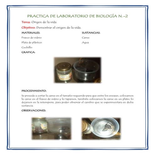 Practica de laboratorio de biología origen de la vida | DOCX