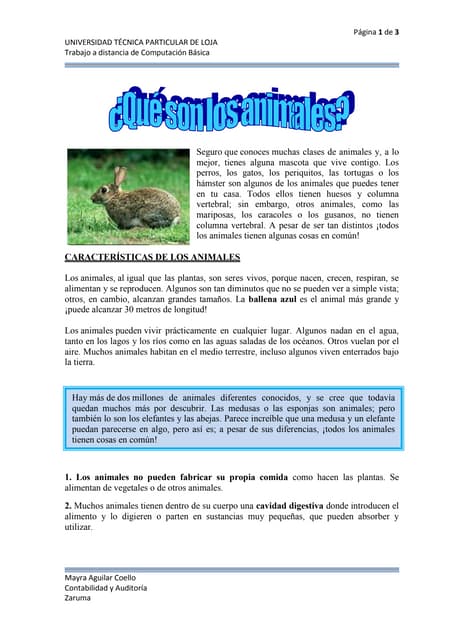 Los Sentidos De Los Animales[1] Jfc | PPT