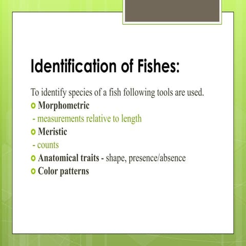Identification of Fish Species | PPTX