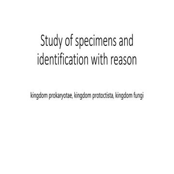 Study of specimens and identification with reason in lab. | PPTX