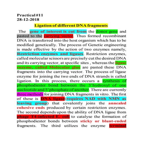 Ligation of DNA fragments Practical | DOCX