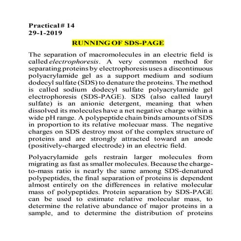 Running of SDS-PAGE Practical | DOCX