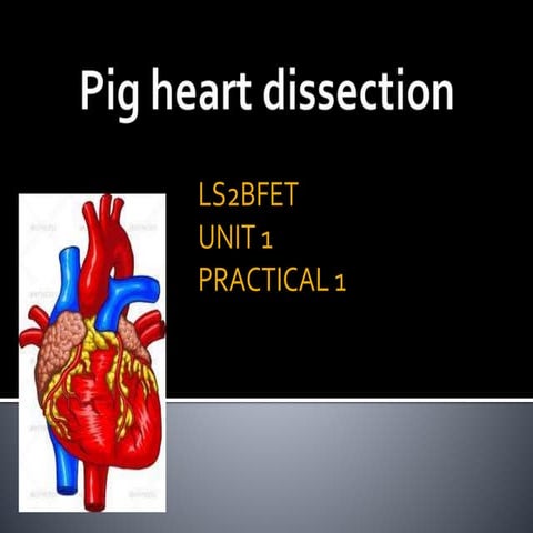 Practical 1 pig heart dissection | PPTX