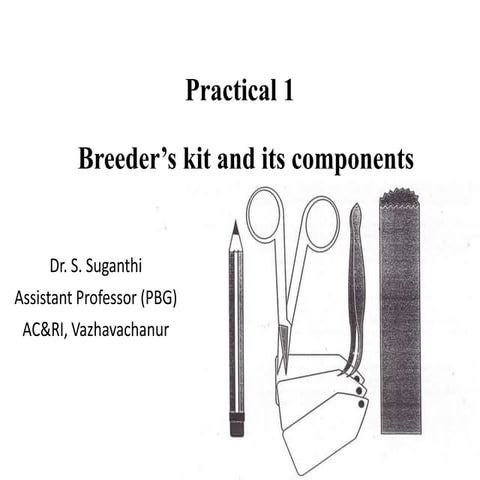 Practical 3.pptx king of kkkgddjjnfdddddd | PPTX