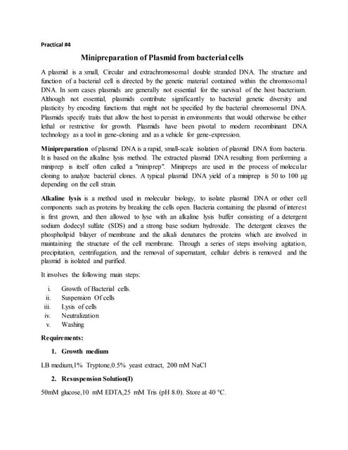 Plasmid Isolation Lab Report | DOCX