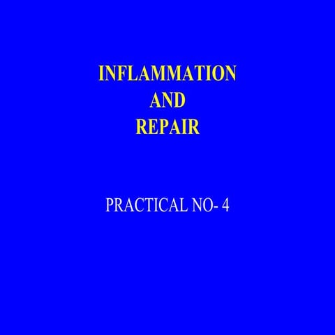 Morphology of-acute-inflammation | PPT