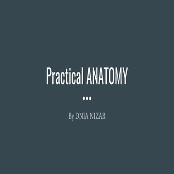Practical anatomy _ anatomy models labeled for medical students | PDF