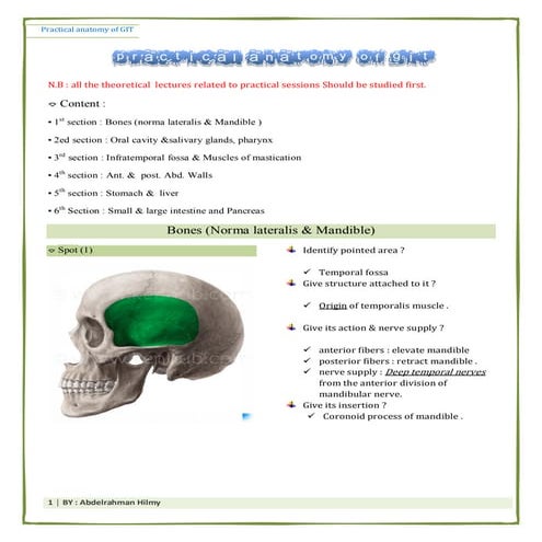 Practical anatomy of the git by abd el rahman helmy | PDF