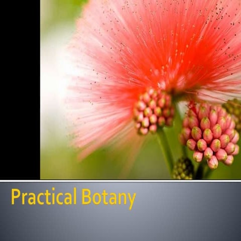 Practical Botany | PPTX | Gardening | Home & Garden