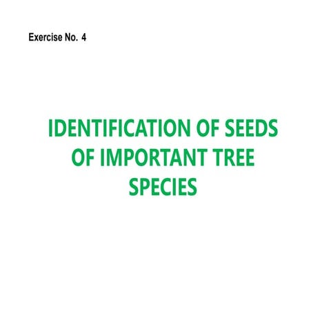 identification of seeds of important tree sps.pptx4.pptx | Gardening ...