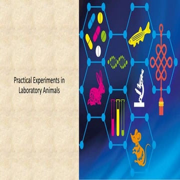 Practical experiments in lab. animals | PPTX
